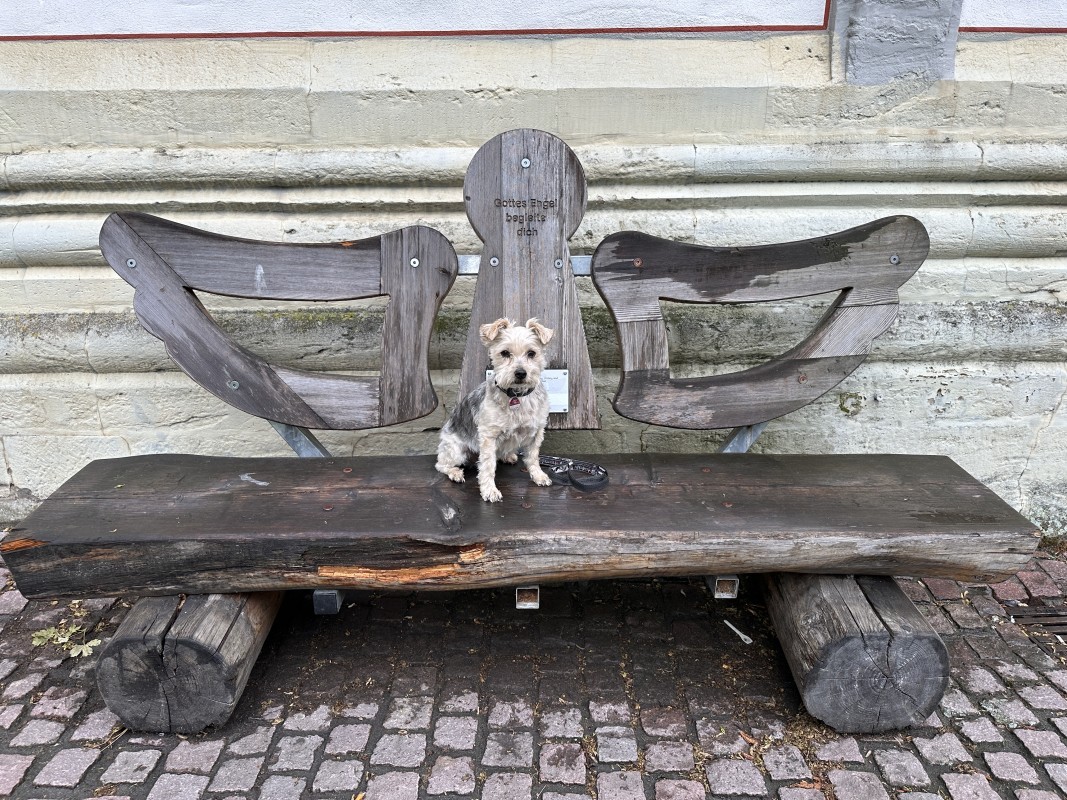 Wochenthema ab 30.05.2025 | Patchwork Gilde Deutschland e.V.